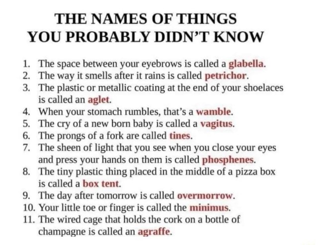 THE NAMES OF THINGS YOU PROBABLY DIDN'T KNOW The space between your eyebrows is called a ...