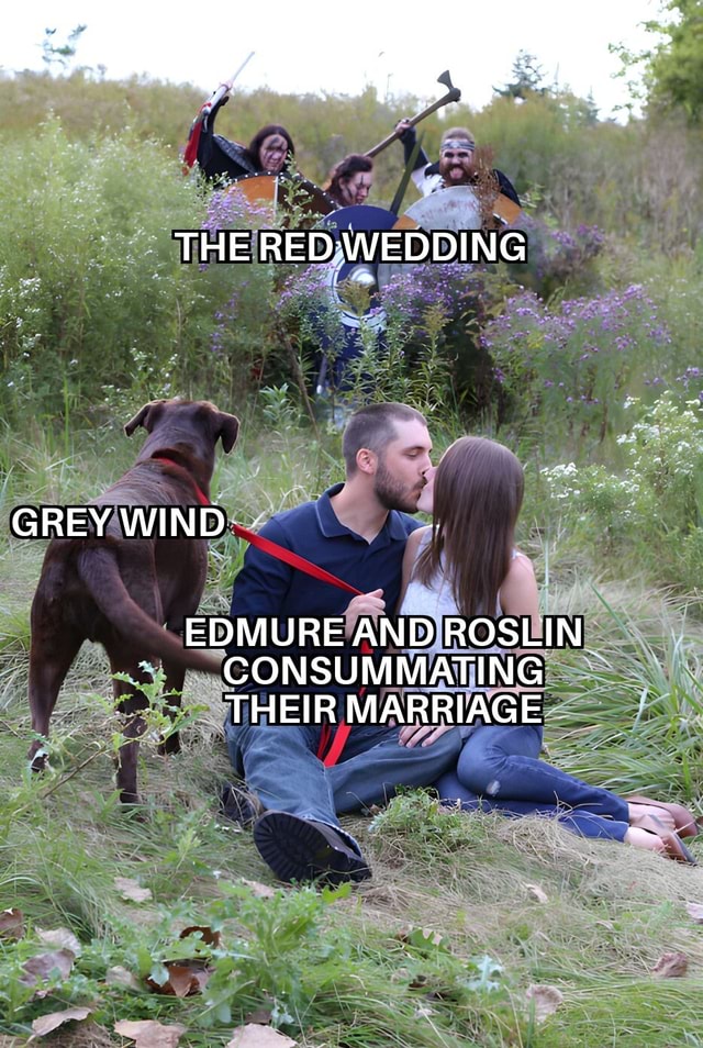 THE RED WEDDING GREY WIND EDMURE AND ROSLIN CONSUMMATING THEIR MARRIAGE ...