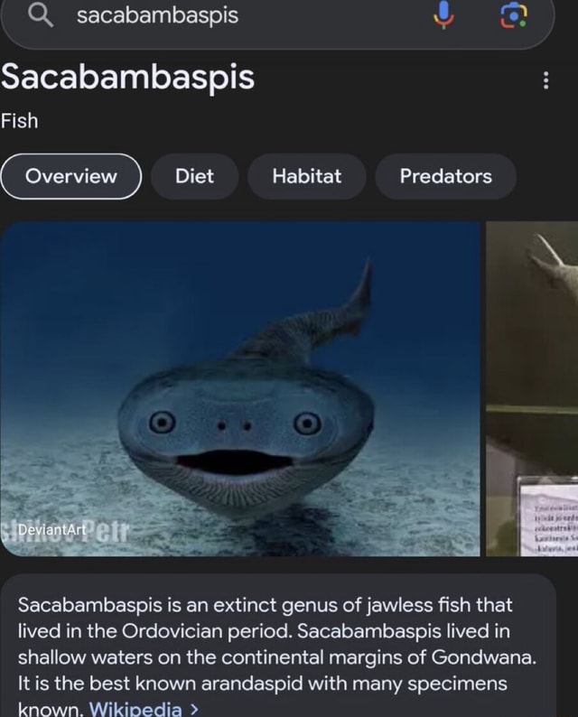 Q. sacabambaspis Sacabambaspis Fish Ove Diet Habitat Predators ...
