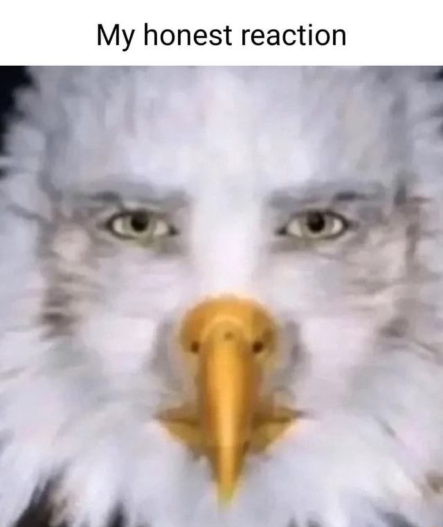 My honest reaction - iFunny Brazil