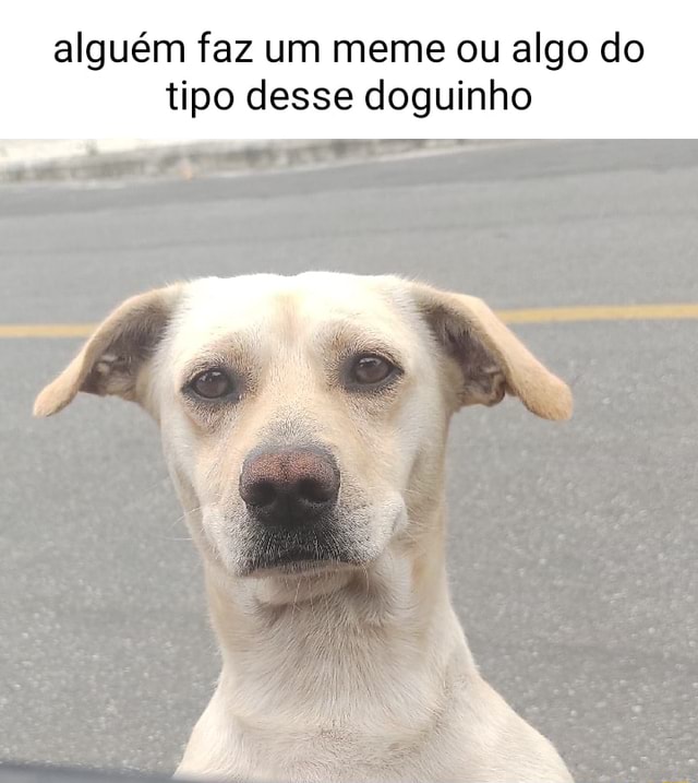 Alguém faz um meme ou algo do tipo desse doguinho - iFunny Brazil