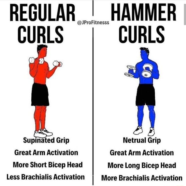 REGULAR. HAMMER Supinated Grip Grip Great Arm Activation Great Arm ...