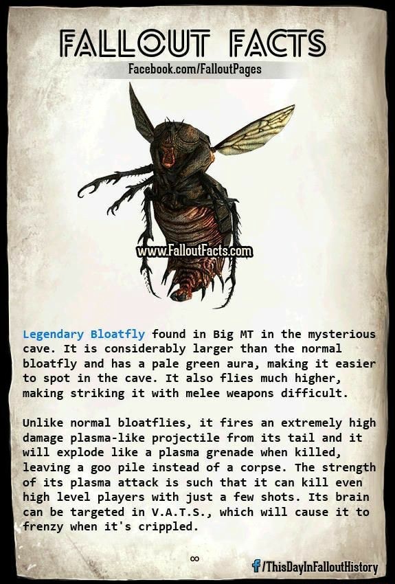 FALLOUT FACTS com) Legendary Bloatfly found in Big MT in the mysterious ...