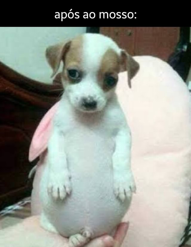 Após ao mosso: - iFunny Brazil