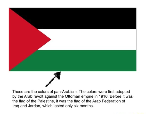 These are the colors of pan-Arabism. The colors were first adopted by ...