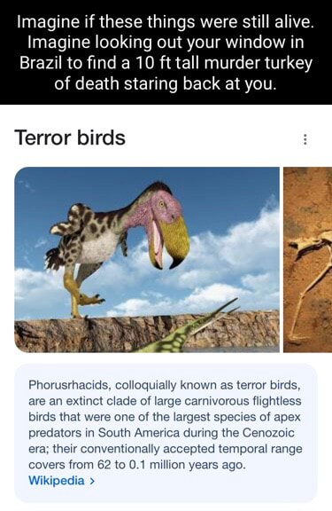 Imagine if these things were still alive. Imagine looking out your window in Brazil to find a 10 ...