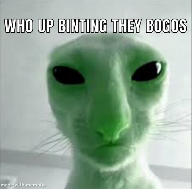 WHO UP BINTING THEY BOGOS - iFunny Brazil