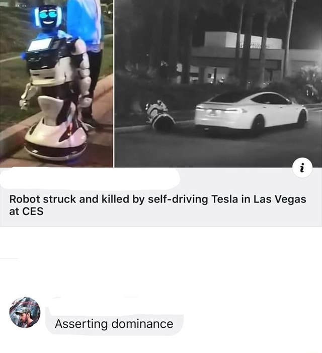 Robot struck and killed by self-driving Tesla in Las Vegas at CES ...