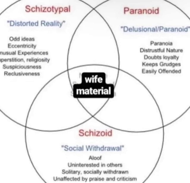 SE "Distorted Reality" Paranoid Odd ideas Eccentricity perstition ...