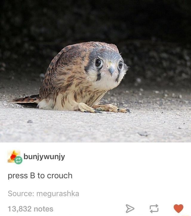 Small meme dump - press B to crouch Source: megurashka - iFunny Brazil