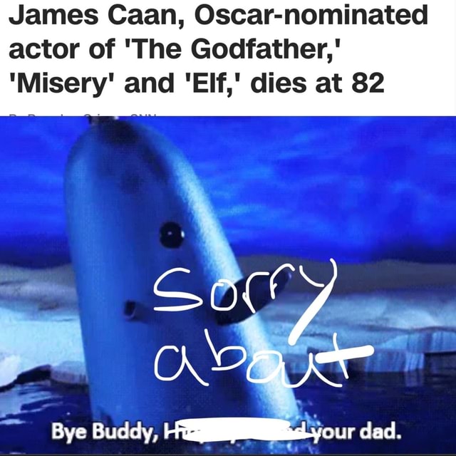 James Caan, Oscar-nominated actor of 'The Godfather,' 'Misery' and 'Elf ...