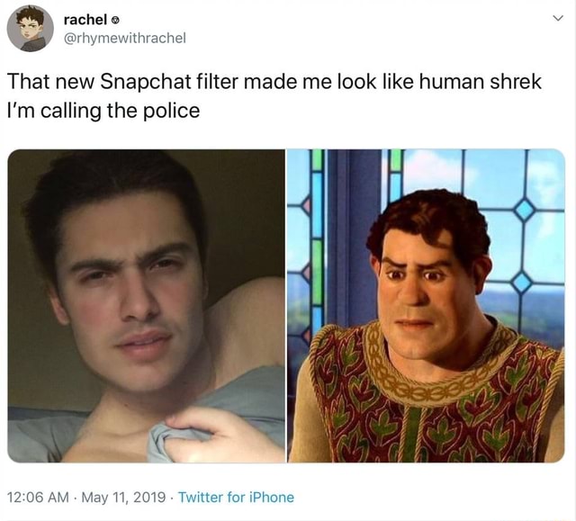 That new Snapchat filter made me look like human shrek I'm calling the ...