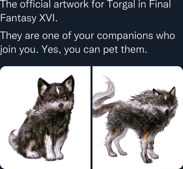 The official artwork for Torgal in Final Fantasy XVI. They are one of ...