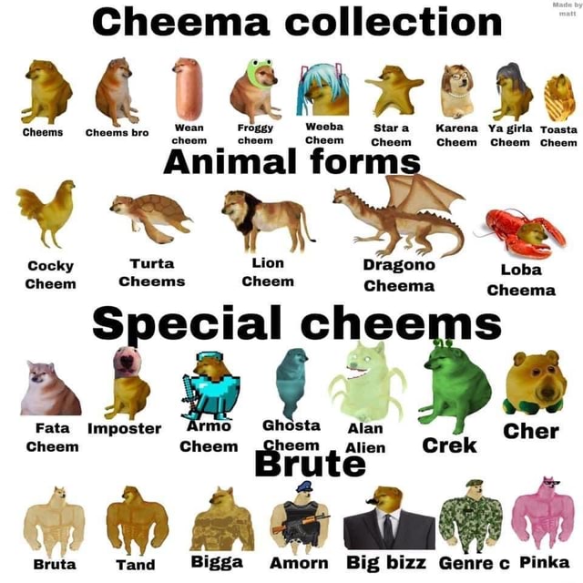 Animal form Cocky Turta Lion Dragono Cheem Cheems Cheem Cheema Special ...