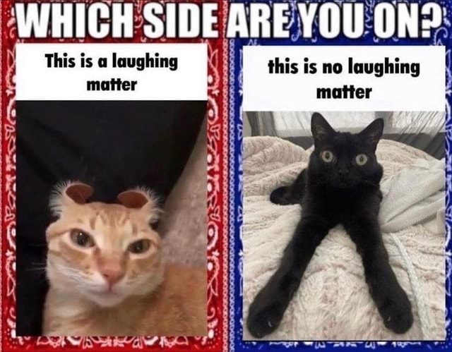 SIDE This isalaughing this is no laughing matter I matter - iFunny Brazil