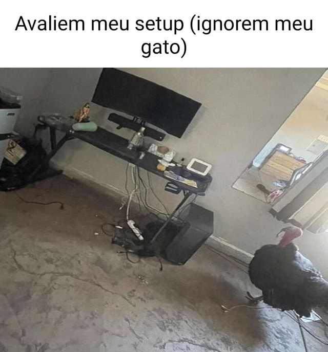Avaliem meu setup (ignorem meu gato) - iFunny Brazil Avaliem meu setup (ignorem meu gato) - iFunny Brazil