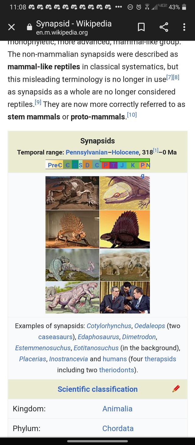 1108 Syn Wikipedia The non-mammalian synapsids were described as mammal ...