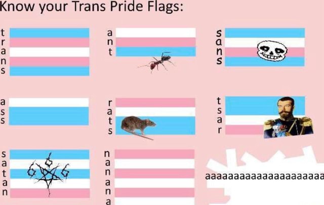 Know your Trans Pride Flags: a Ss ig n n s a Ss ...