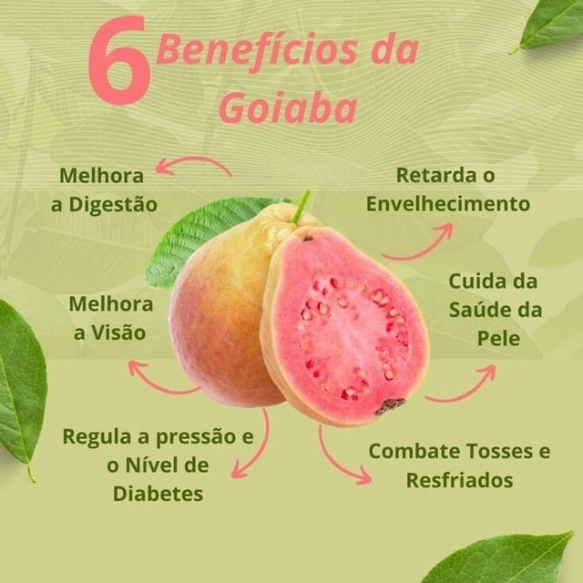 Benefícios da Goiaba Melhora Retarda o a Digestão / Envelhecimento ...