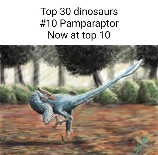 Top 30 dinosaurs #10 Pamparaptor Now at top 10 - iFunny Brazil