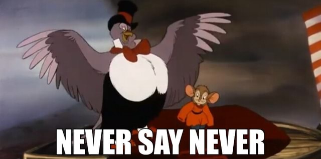 NEVER SAY NEVER - iFunny Brazil