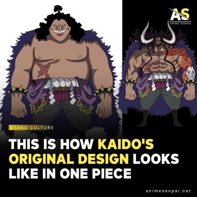 TAKU CULTURE THIS IS HOW KAIDO'S ORIGINAL DESIGN LOOKS LIKE IN ONE ...