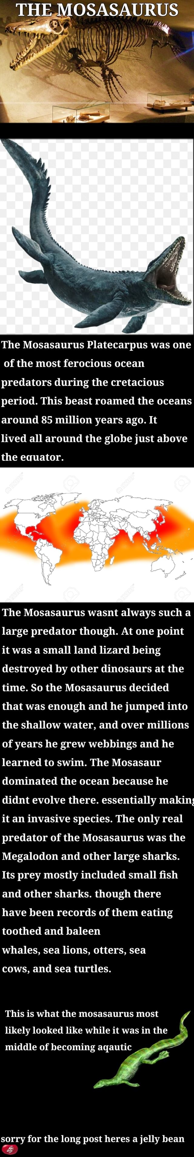 THE MOSASAURUS The Mosasaurus Platecarpus was one of the most ferocious ...