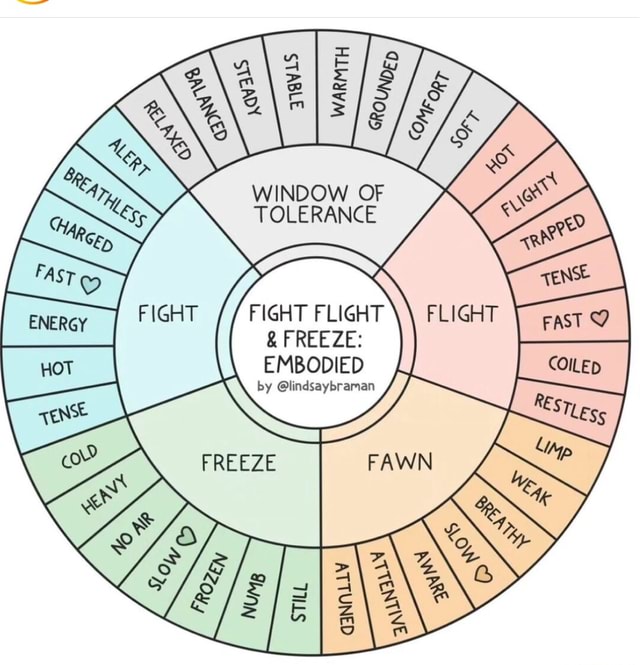 WINDOW OF TOLERANCE FIGHT FLIGHT FREEZE: EMBODIED - iFunny Brazil