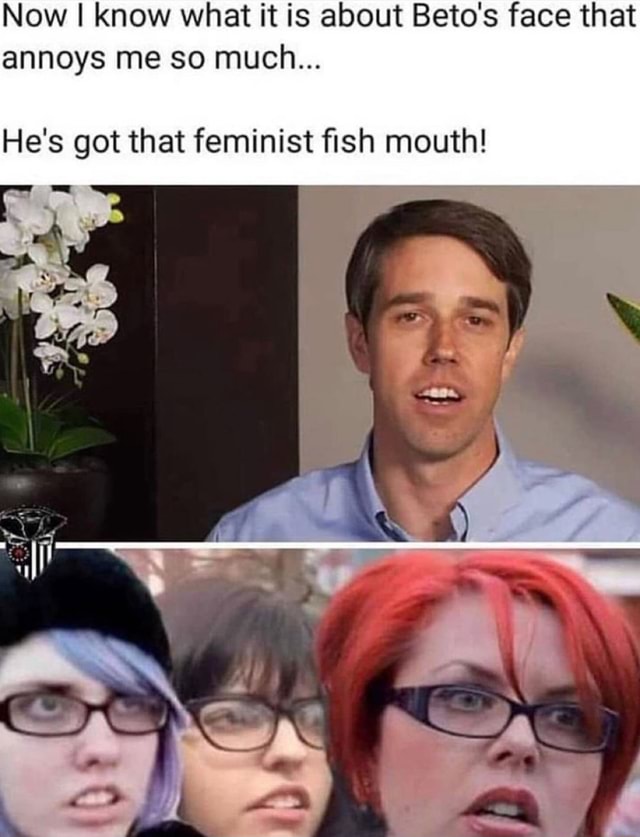 Now I know what it is about Beto's face that annoys me so much... He's ...