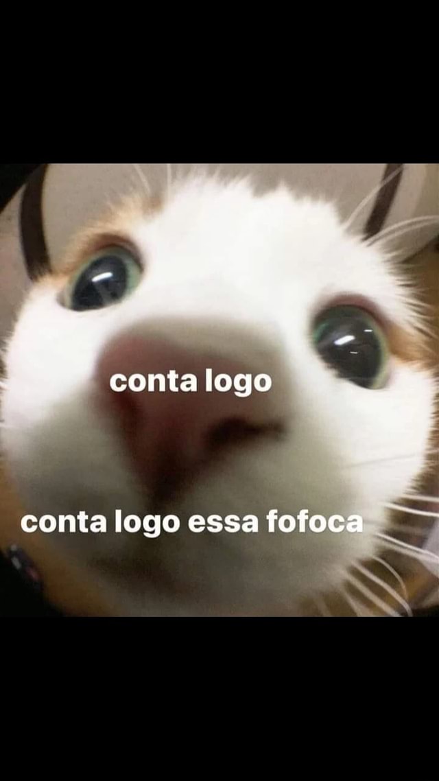 Conta logo conta logo essa fofoca - iFunny Brazil