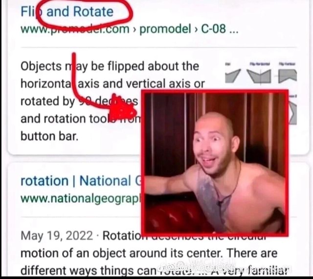 Flif and Rotate WWW "com om promodel > C-08 Objects nfay be flipped ...