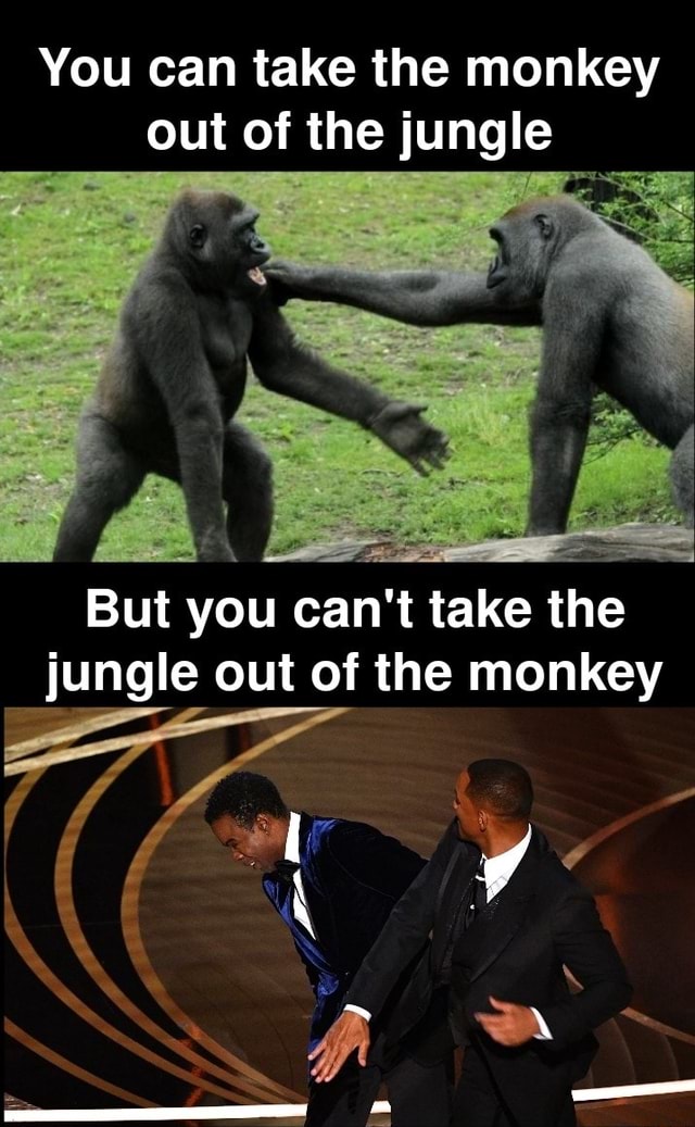 You can take the monkey out of the jungle But you can't take the ...
