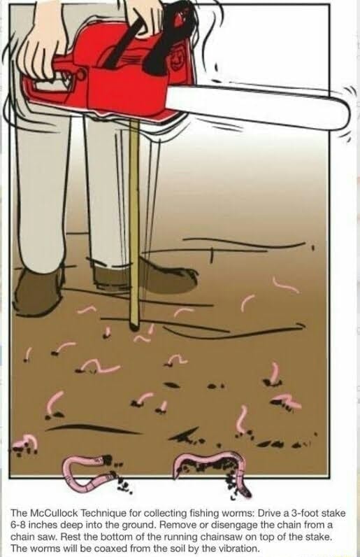 The McCullock Technique for collecting fishing worms: Drive a 3-foot stake 6-8 inches deep into ...