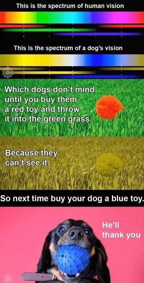 Dog Vision Spectrum