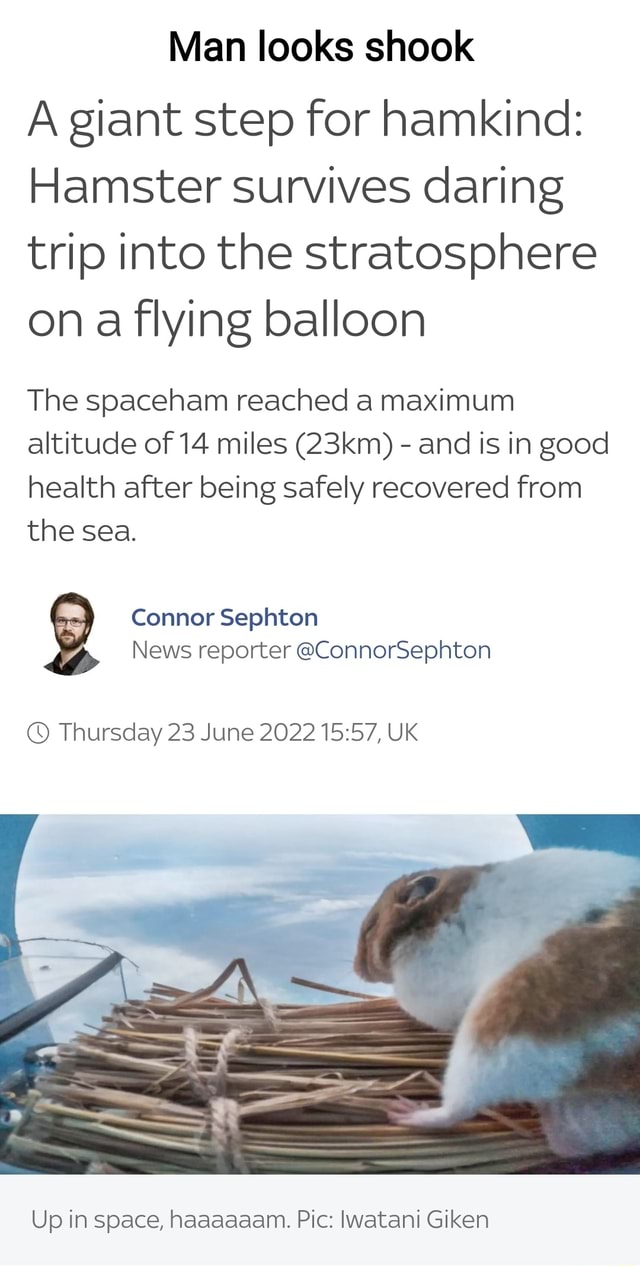 Man looks shook A giant step for hamkind: Hamster survives daring trip ...