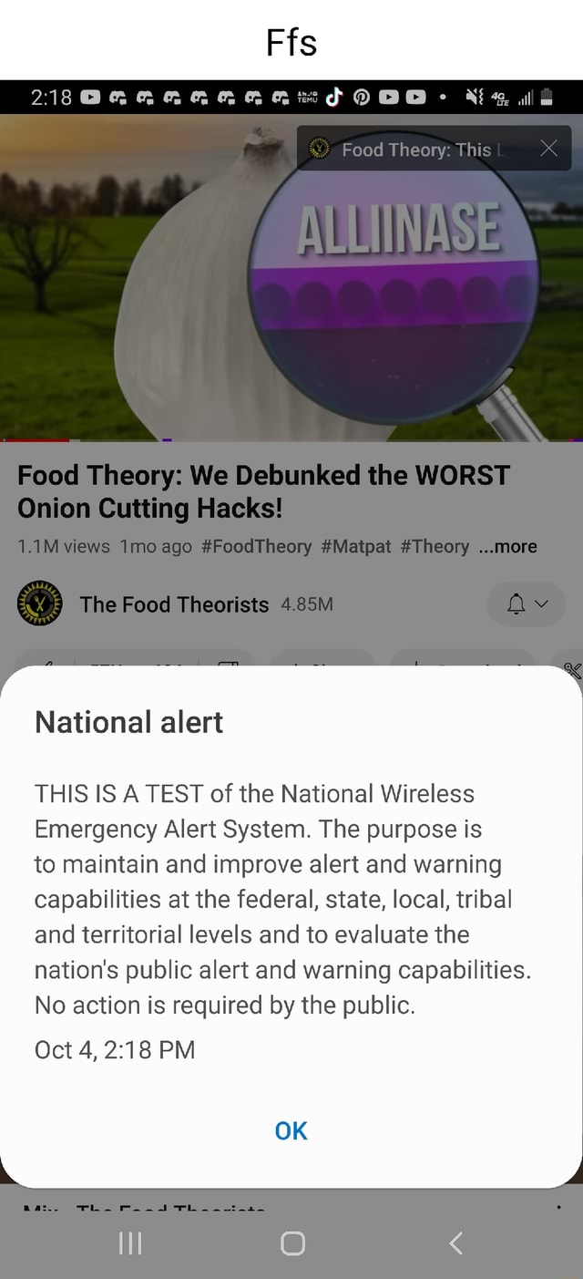 Ffs Food Theory: this Food Theary: We Debunked the WORST Onion Cutting ...