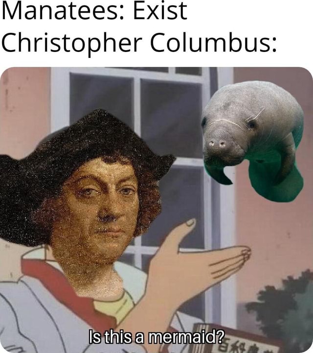 Manatees: Exist Christopher Columbus: Is this a mermaid? - iFunny Brazil