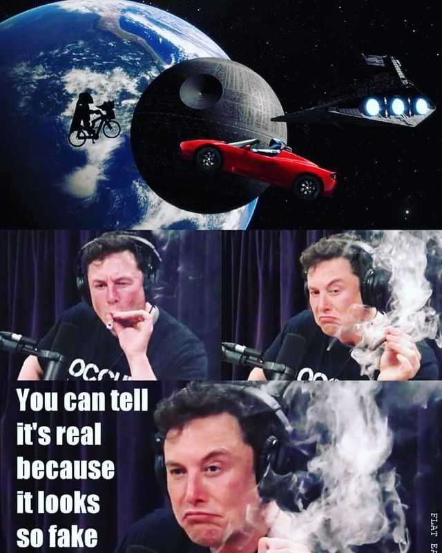 Bi Orn You can tell it's real because itlooks so fake id IWTd - iFunny ...