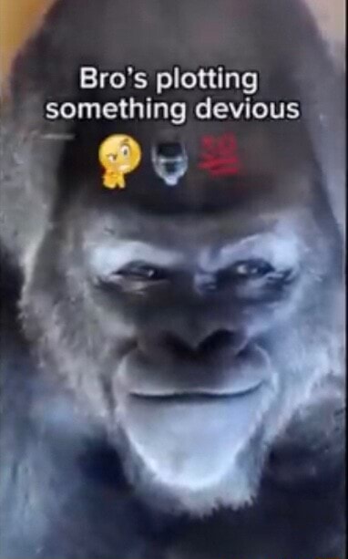 Bro's plotting something devious - iFunny Brazil