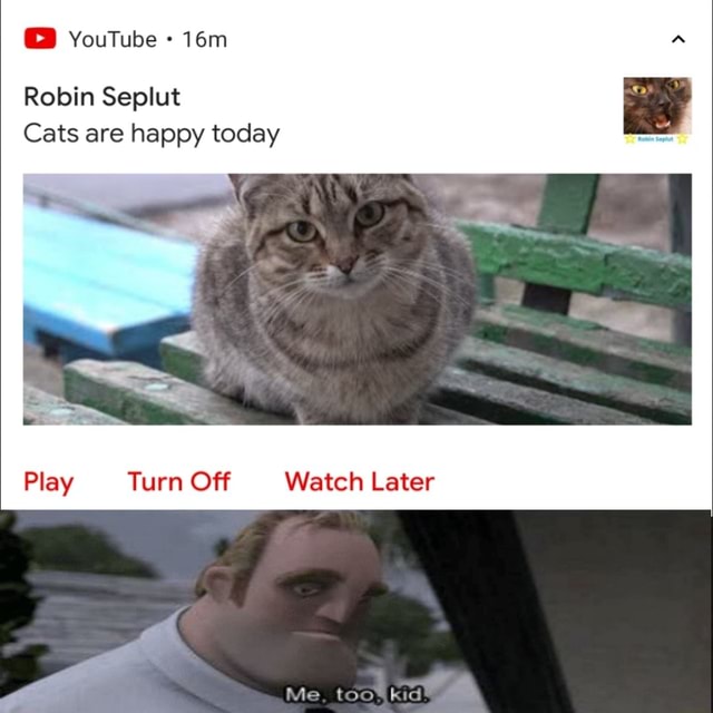 E YouTube Robin Seplut Cats are happy today Turn Off Watch Later ...