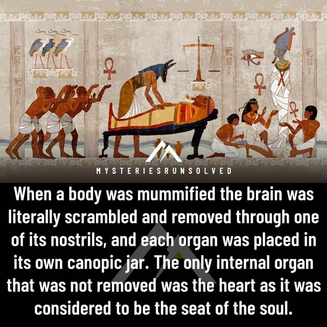 IN MYSTERIESRUNSOLVED When a body was mummified the brain was literally ...