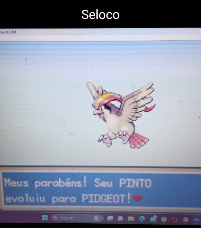 Seloco Meus evoluiu para PIDGEOT! - iFunny Brazil