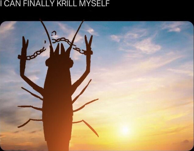 CAN FINALLY KRILL MYSELF - iFunny Brazil