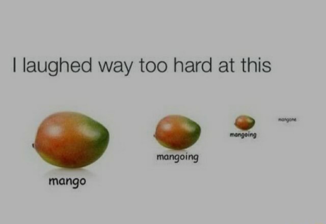 I laughed way too hard at this mangoing mangoing mango - iFunny Brazil