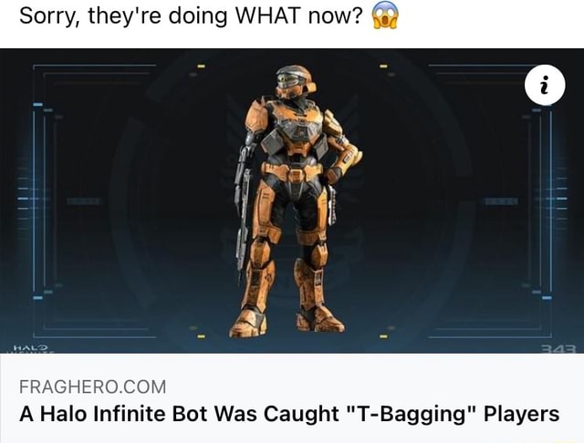 Sorry, they're doing WHAT now? A Halo Infinite Bot Was Caught "T ...