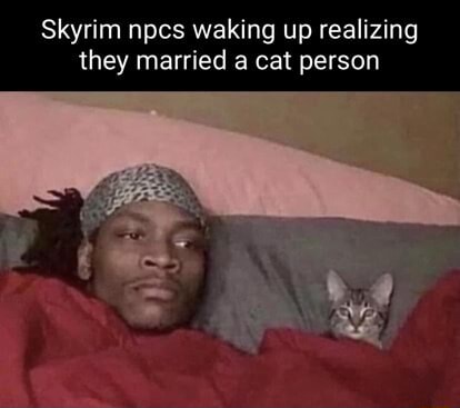 Skyrim npcs waking up realizing they married a cat person - iFunny Brazil