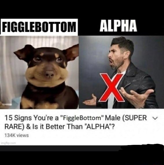 ALPHA 15 Signs You're a "FiggleBottom" Male (SUPER v RARE) & Is it ...