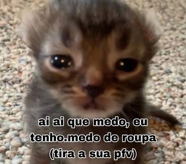 El el que mec, eu (tinafalsualpfv) - iFunny Brazil