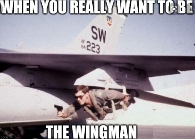 WHEN YOU REALLY WANT BE THE WINGMAN - iFunny Brazil