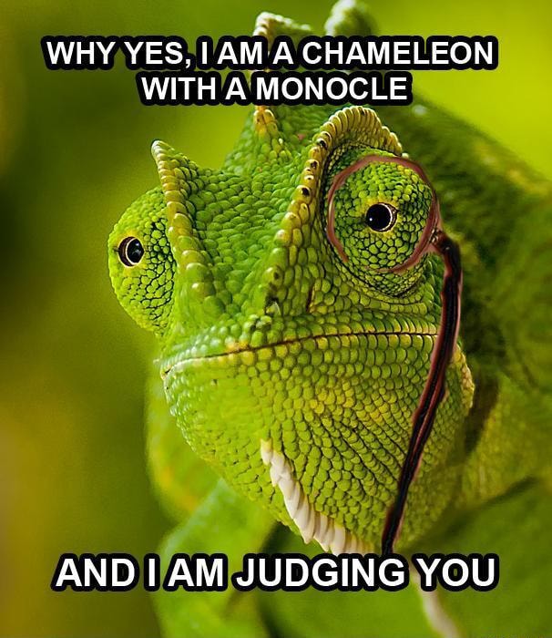 WHY YES, I AM A CHAMELEON WITH A MONOCLE AND IJAM JUDGING YOU - iFunny ...